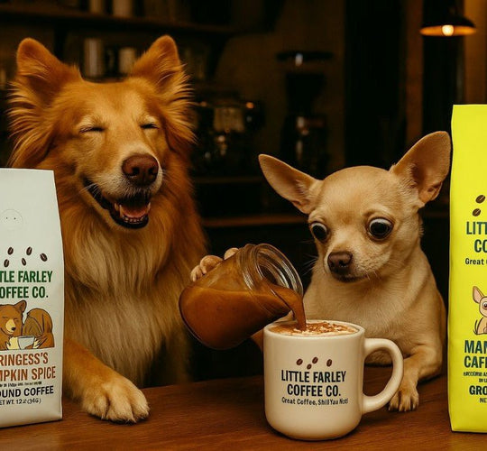 Princess’s Pumpkin Spice Maple Latte Recipe | Little Farley Coffee Co.